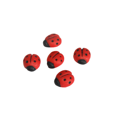 Sugar ladybug 5 pcs - Liana